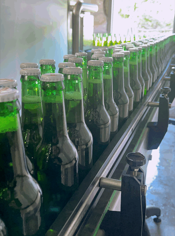 Cayman Islands Brewery | Recycling & Conservation